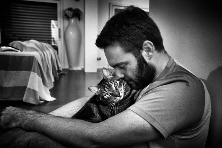 Fotógrafa decide capturar os melhores momentos de homens com seus gatos ...